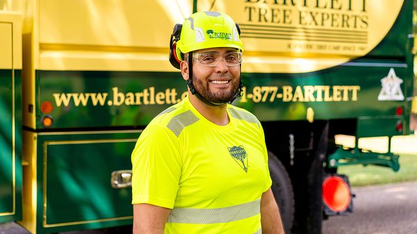 BARTLETT TREE EXPERTS - Updated December 2025 - 57 Photos & 23 Reviews ...