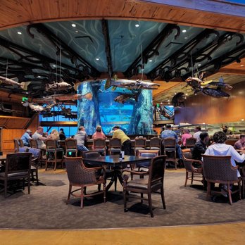 THE LOOKOUT AT THE PYRAMID Updated January 2025 914 Photos 587 Reviews 1 Bass Pro Dr Memphis Tennessee Bars Restaurant Reviews Phone Number Yelp