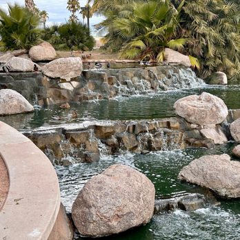 FREESTONE PARK - Updated May 2024 - 199 Photos & 104 Reviews - 1045 E ...