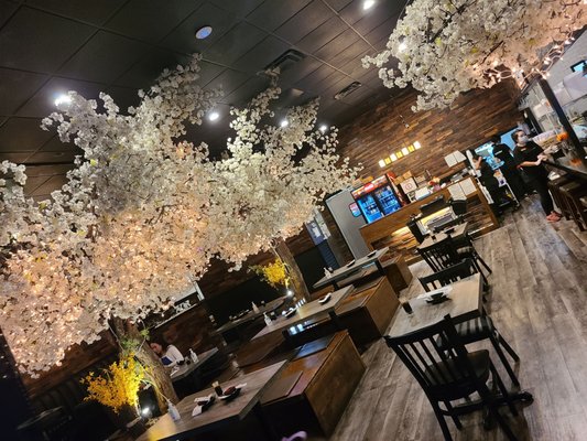 SUSHI KADAN - 1099 Photos & 599 Reviews - 3052 Old Denton Rd ...