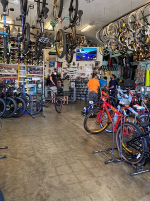 BIKEFACTORY HAWAII - Updated June 2024 - 53 Photos & 171 Reviews - 740 ...