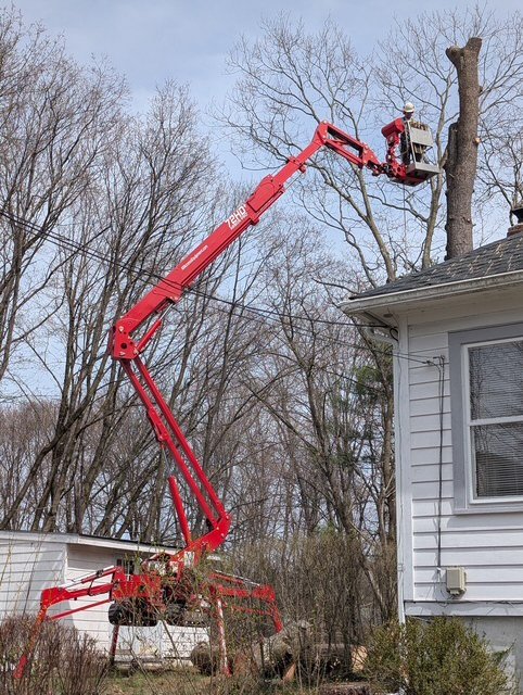 MIKE’S TREE SERVICE - Updated April 2026 - 6765 Rte 9, Rhinebeck, New ...
