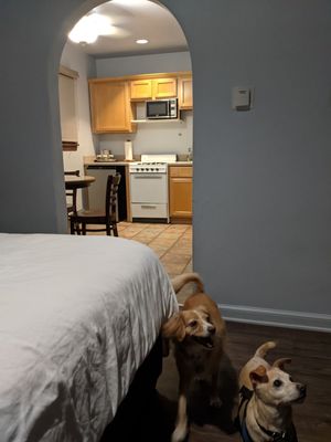 CASA DEL MAR INN - Updated November 2024 - 203 Photos & 226 Reviews ...