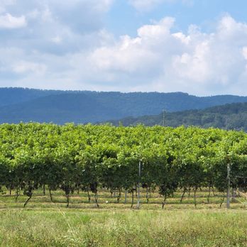 BRIX & COLUMNS VINEYARDS - Updated May 2025 - 164 Photos & 81 Reviews ...