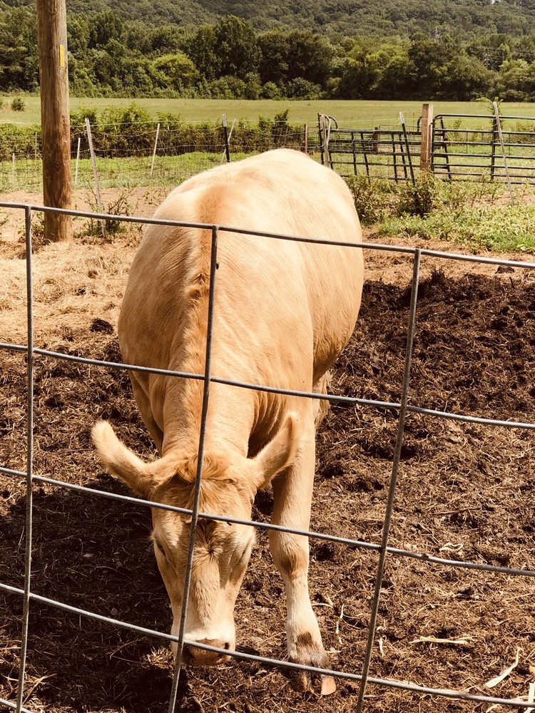 THOMAS FARM FRESH PRODUCE - Updated December 2025 - 14 Photos - 7654 ...