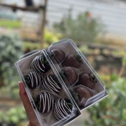 DIPPED BY DEE - Updated December 2025 - 1083 Photos & 232 Reviews - 99 ...