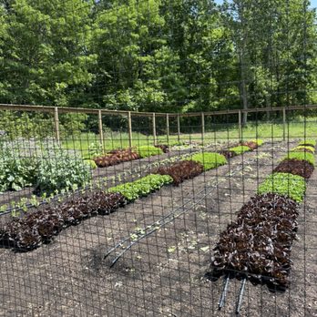 FARMETTE - Updated October 2025 - 55 Photos & 18 Reviews - 18439 US-12 ...