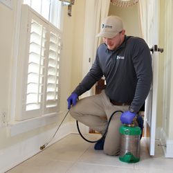 CLEARDEFENSE PEST CONTROL - 24 Photos - 35 E 7th St, Cincinnati, Ohio ...