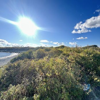 SACHUEST POINT NATIONAL WILDLIFE REFUGE - Updated December 2025 - 242 ...