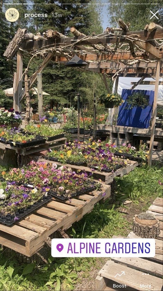 ALPINE GARDENS - Updated October 2025 - 998 Blue River Pkwy ...