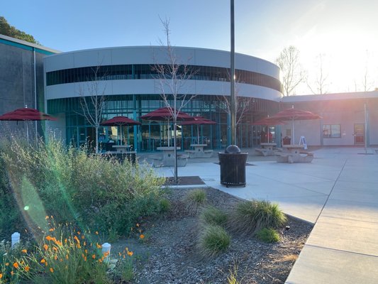 TICE VALLEY COMMUNITY GYM - Updated January 2026 - 20 Reviews - 2055 ...