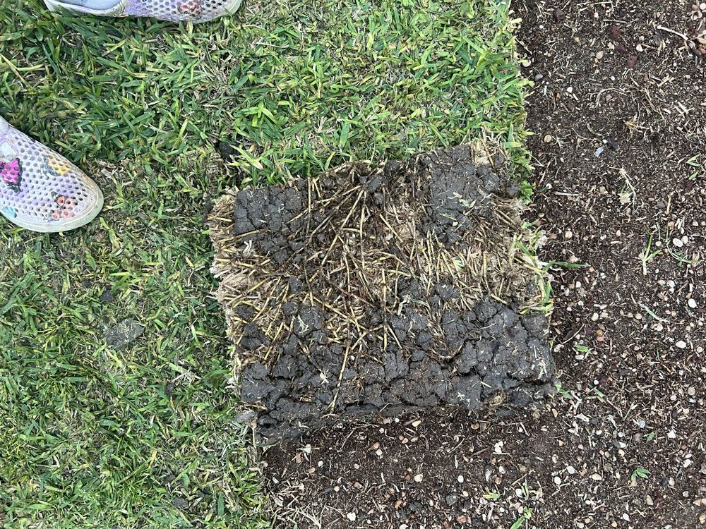 KING RANCH TURFGRASS - Updated June 2025 - 1306 Boxer Rd, Belton, Texas ...