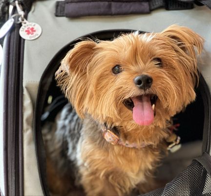 CHUCKANUT VALLEY VETERINARY CLINIC - Updated January 2026 - 12 Photos ...