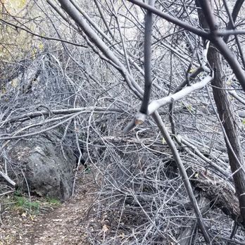 HOLY JIM FALLS TRAIL - Updated October 2025 - 565 Photos & 219 Reviews ...