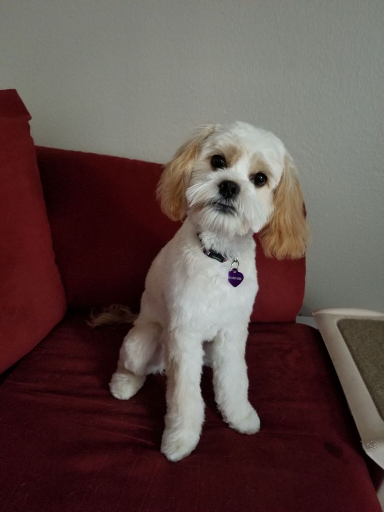 CLAUDIA’S COUIFFURE LE’ PETITE - Updated September 2024 - 57 Photos ...