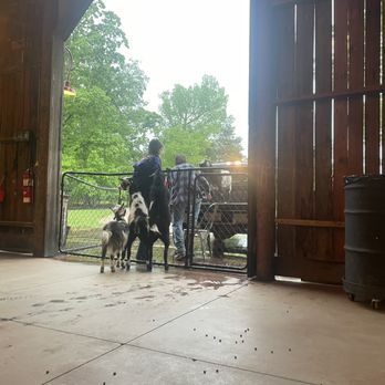 SUMMERFIELD FARMS - Updated July 2025 - 120 Photos & 39 Reviews - 3203 ...