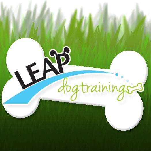 LEAP DOG TRAINING - San Diego, California - Pet Training - Phone Number ...