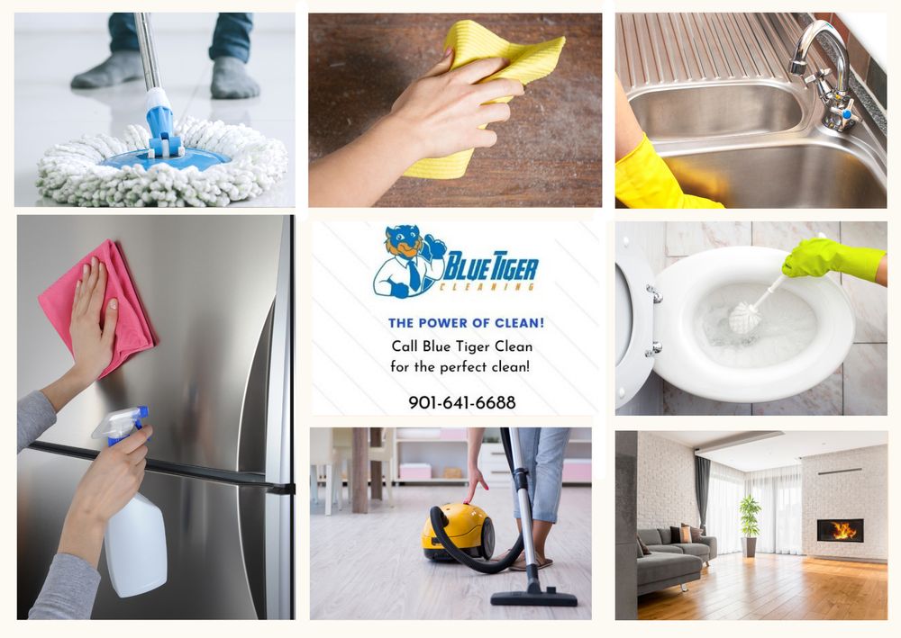 BLUE TIGER CLEANING - Updated December 2024 - 22 Photos - 6089 Apple ...