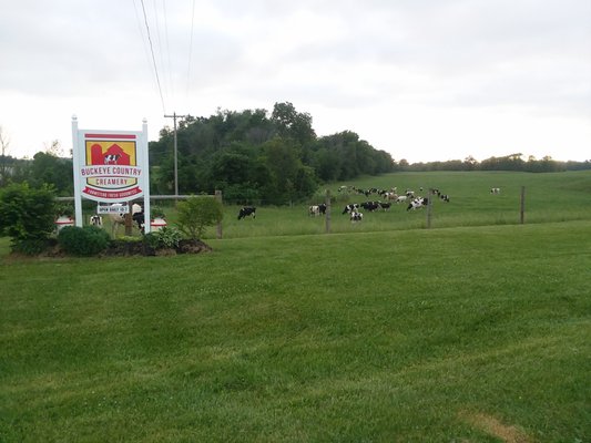 BUCKEYE COUNTRY CREAMERY - Updated May 2026 - 1698 State Rte 511 ...
