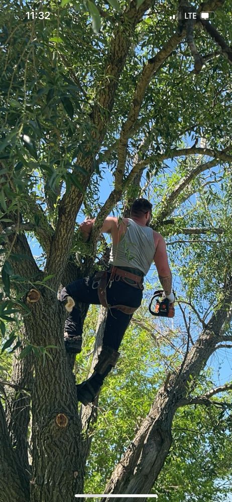YODER TREE SERVICE - Updated December 2025 - Burton Township, Illinois ...