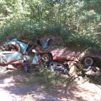 THE TREE MUSEUM - Updated July 2025 - 1634 Doe Lake Road, Gravenhurst ...