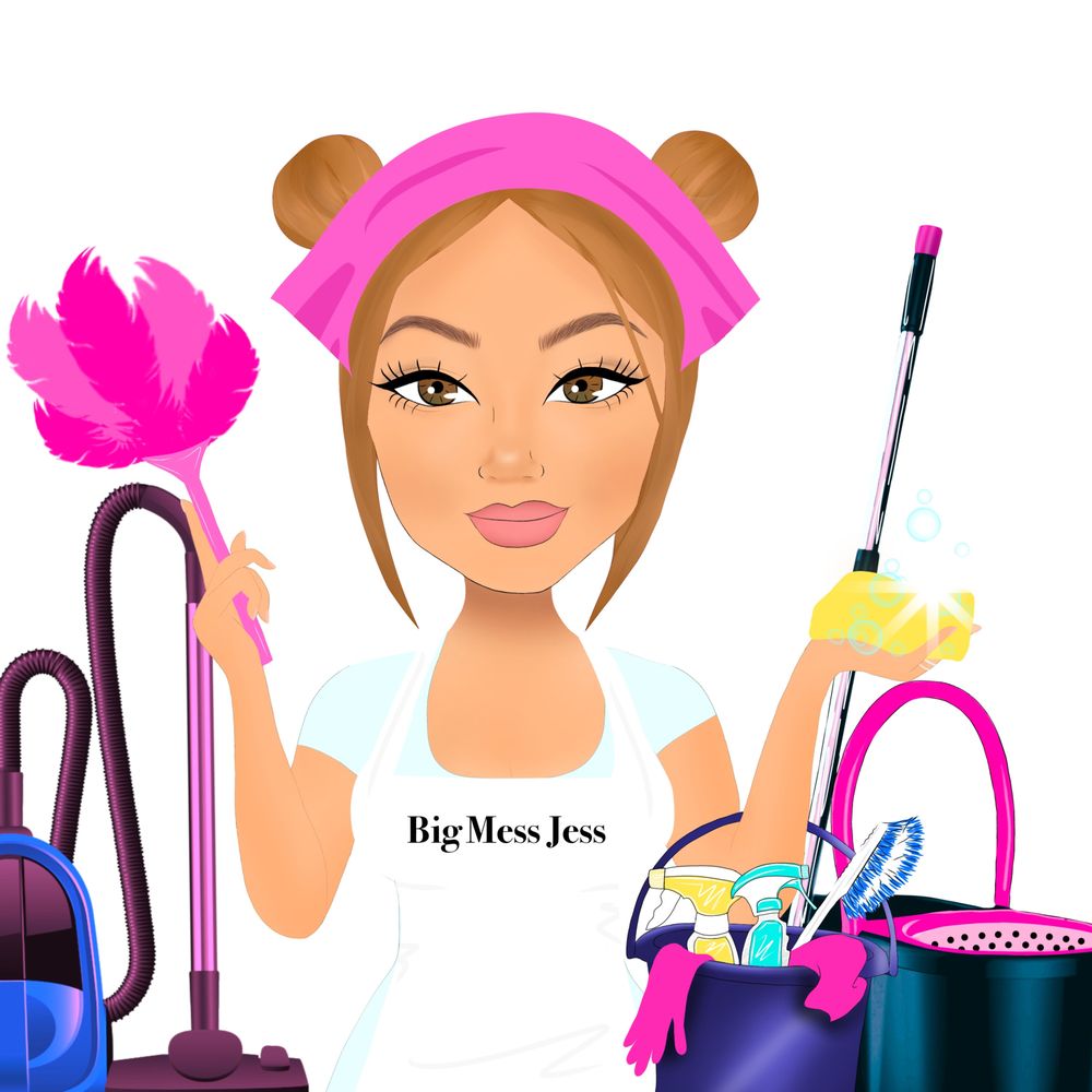 BIG MESS JESS - Request a Quote - Toledo, Ohio - Home Cleaning - Phone ...