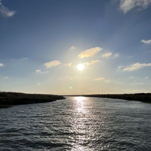 ALVISO MARINA COUNTY PARK - 1332 Photos & 188 Reviews - 1195 Hope St ...