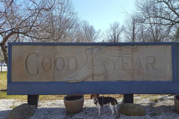 WINGFOOT LAKE STATE PARK - Updated March 2025 - 31 Photos & 14 Reviews ...
