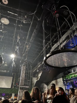 CLEMATIS SOCIAL - Updated November 2024 - 19 Photos & 16 Reviews - 219 ...