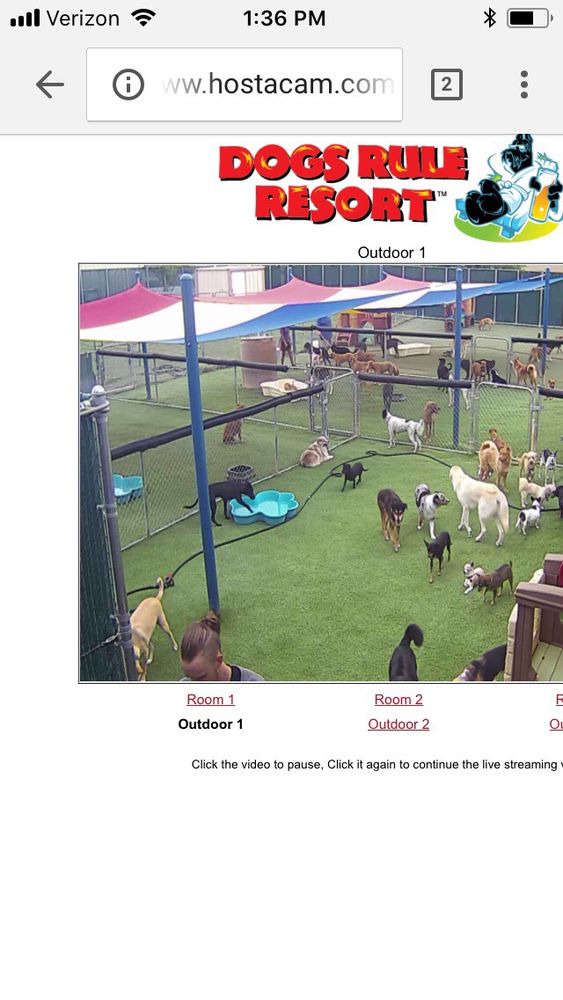 DOGS RULE RESORT - Updated July 2025 - 26 Photos & 60 Reviews - 5701 ...