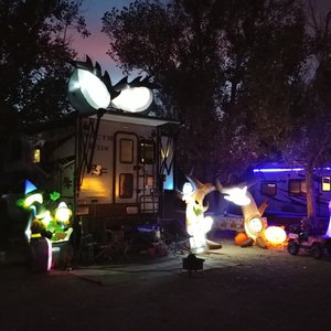 CARSON RIVER RESORT - Updated June 2025 - 86 Photos & 41 Reviews ...