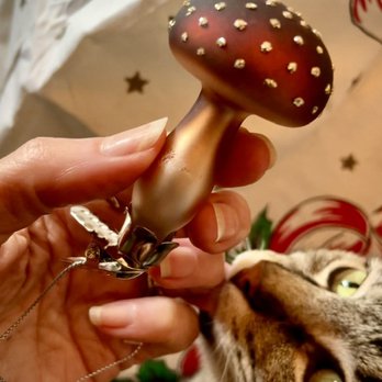 MARZ - Updated January 2026 - 38 Photos & 44 Reviews - 1512 Mission St ...