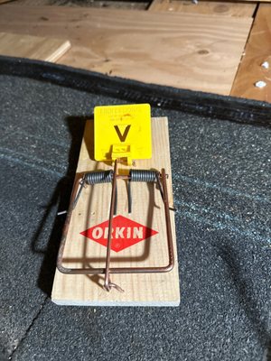 ORKIN - Updated August 2025 - 38 Photos & 98 Reviews - 12710 Magnolia ...