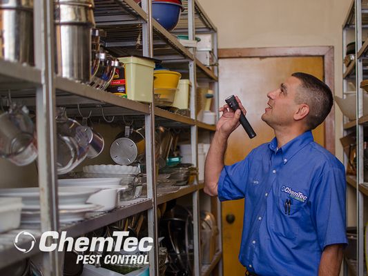 VIKING PEST CONTROL - Updated December 2025 - 47 Photos & 43 Reviews ...