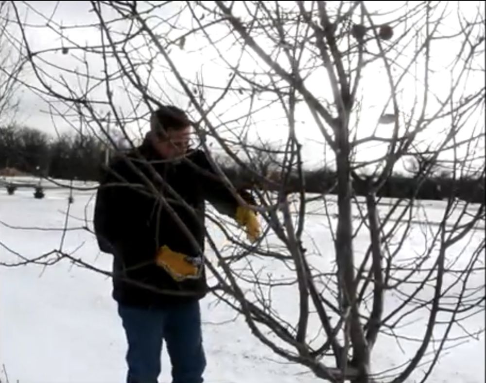 OLSON TREE CARE - 65 Photos - 2800 University Ave, West Des Moines ...