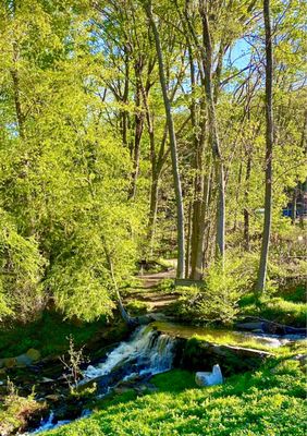 VALLEY FALLS PARK - Updated May 2025 - 120 Photos & 33 Reviews - 300 ...