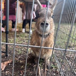 Best Zoos Near Me - October 2025: Find Nearby Zoos Reviews - Yelp