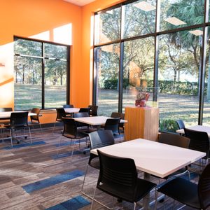 ORANGE COUNTY LIBRARY SYSTEM - WINTER GARDEN - Updated October 2025 ...