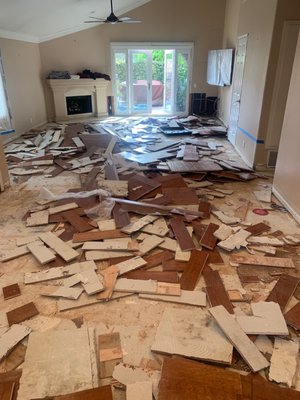 PROTECH CONSTRUCTION - Updated July 2025 - 40 Photos & 71 Reviews - 2790 E Regal Park Dr ...