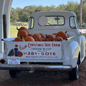 ELGIN CHRISTMAS TREE FARM - Updated December 2025 - 96 Photos & 60 ...