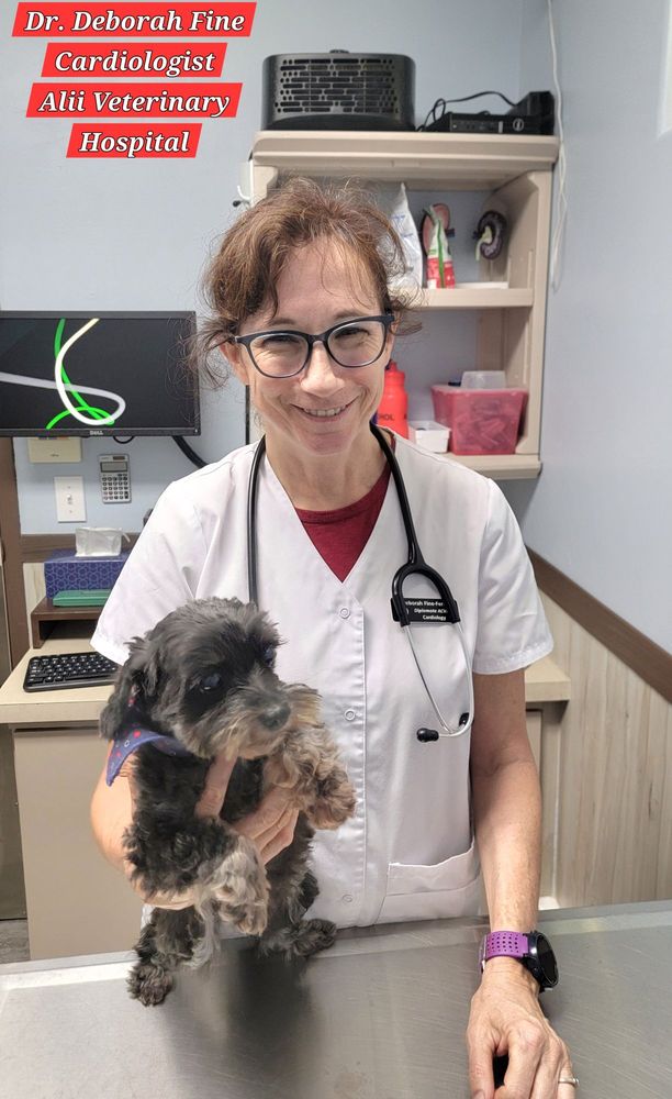 ALII VETERINARY HOSPITAL - Updated September 2025 - 30 Photos & 61 ...