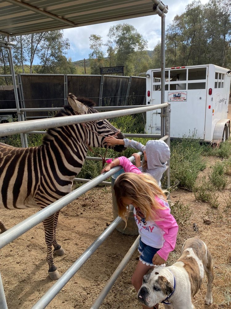 SNOWS PONY RIDE’S AND FARM ANIMALS - 44 Photos & 34 Reviews - Valley ...