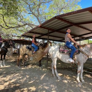WESTCREEK TRAIL RIDES - 74 Photos & 64 Reviews - Horseback Riding ...
