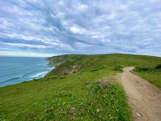 TOMALES POINT TRAIL - TULE ELK PRESERVE - 940 Photos & 135 Reviews ...