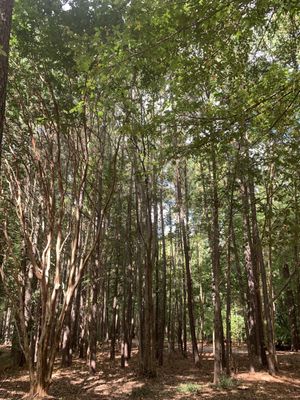 MILLBROOK EXCHANGE PARK - Updated September 2025 - 30 Photos & 15 ...