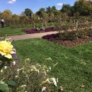 LYNDALE PARK ROSE GARDEN - 143 Photos & 20 Reviews - 4124 Roseway Rd ...