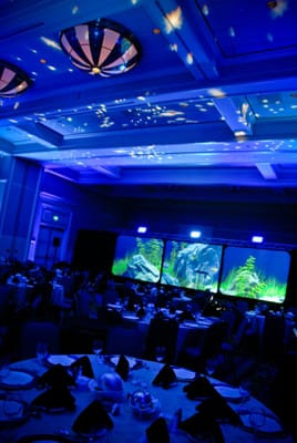 ADVANCED VISUAL PRODUCTION - AVP - Updated April 2025 - 8592 Sanford Dr ...