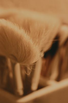 THE JOSHUA TREE SPA - Updated October 2025 - 14 Photos - 1845 McCulloch ...