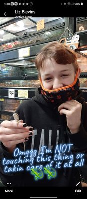 GAISER PETS - Updated January 2025 - 62 Photos & 98 Reviews - 714 ...