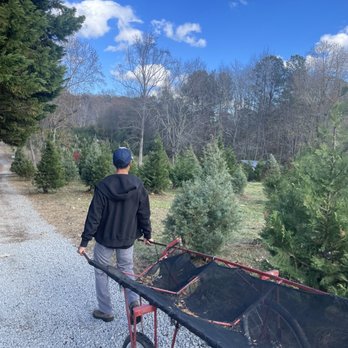 THOMPSON’S TREE FARM - Updated October 2025 - 33 Photos & 13 Reviews ...